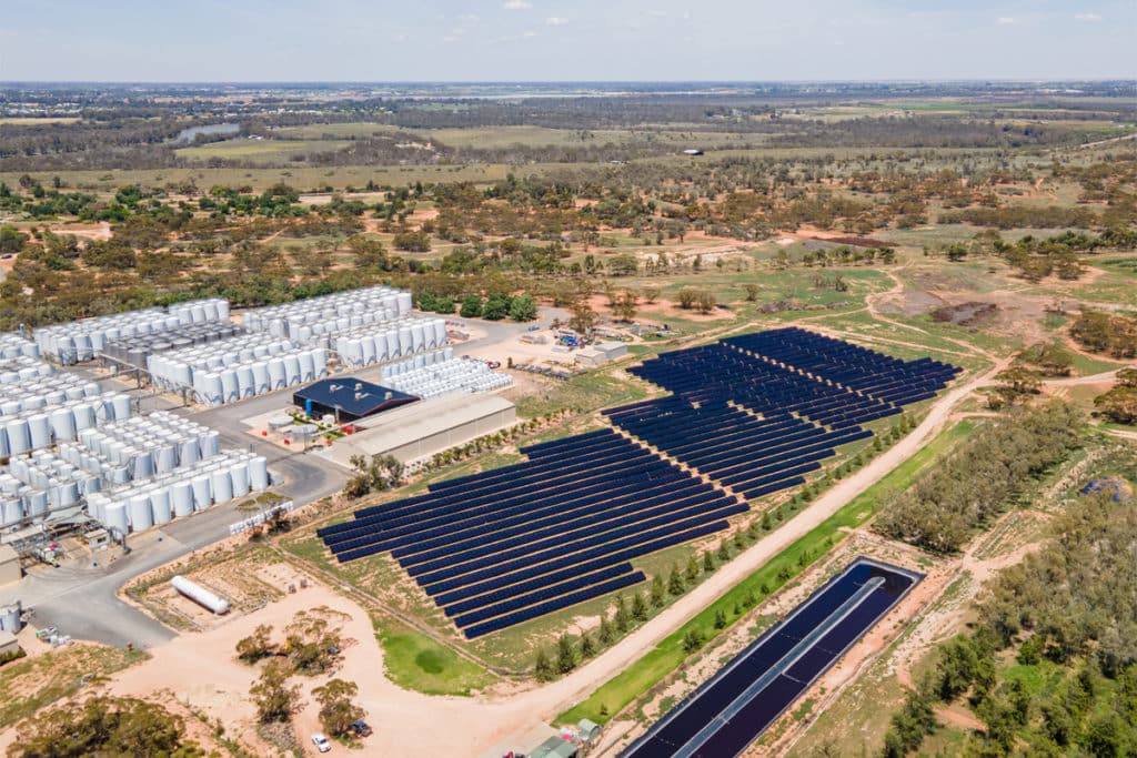 AVL Wines announces Net Zero 2040 commitment - Food & Beverage Industry ...