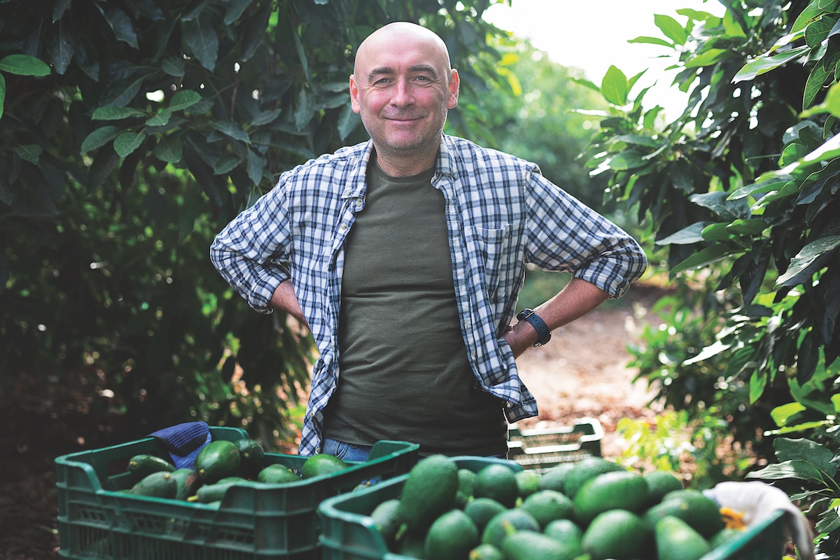 New technology to meet growing avocado demand - Food & Beverage ...