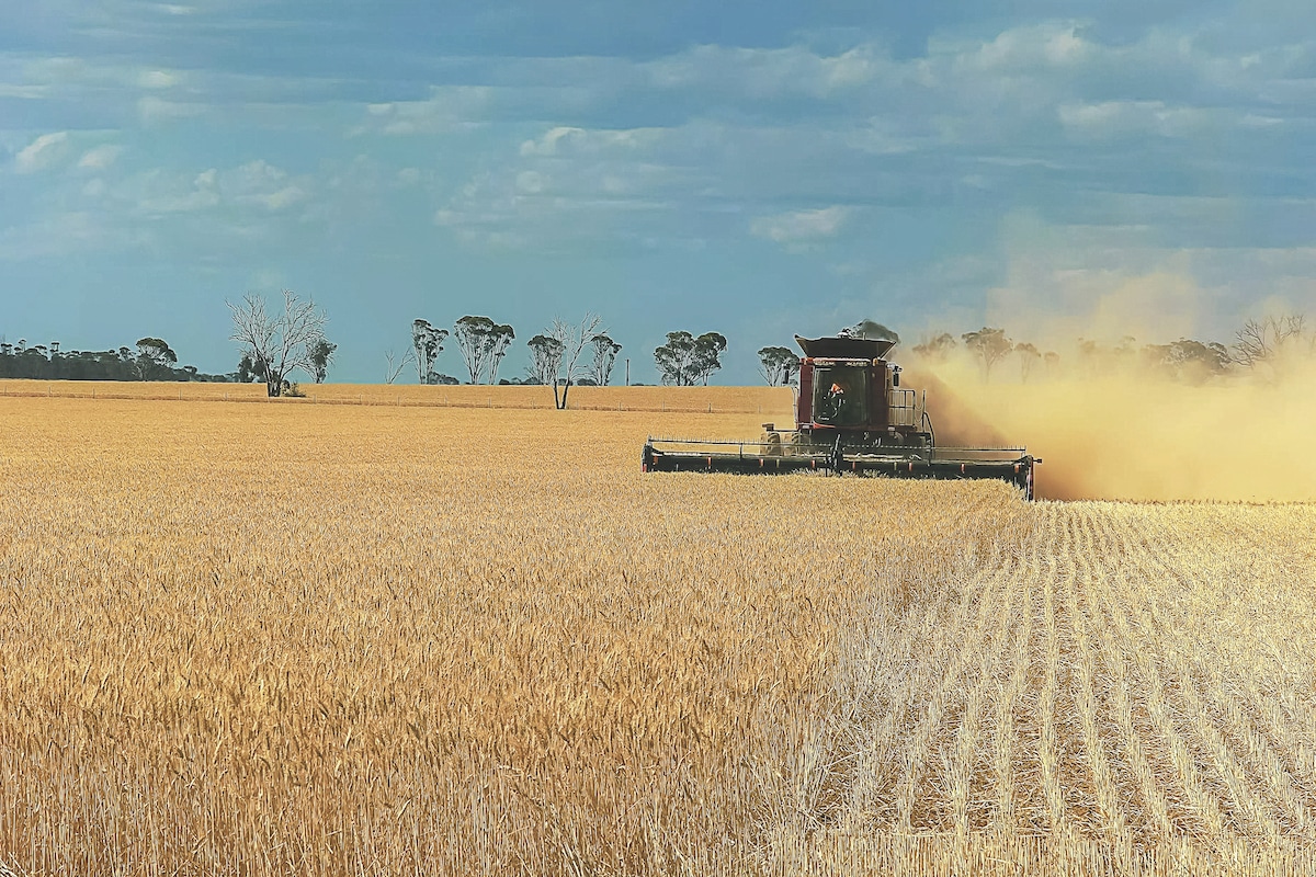 Building climate resilience on Western Australia farms - Food ...