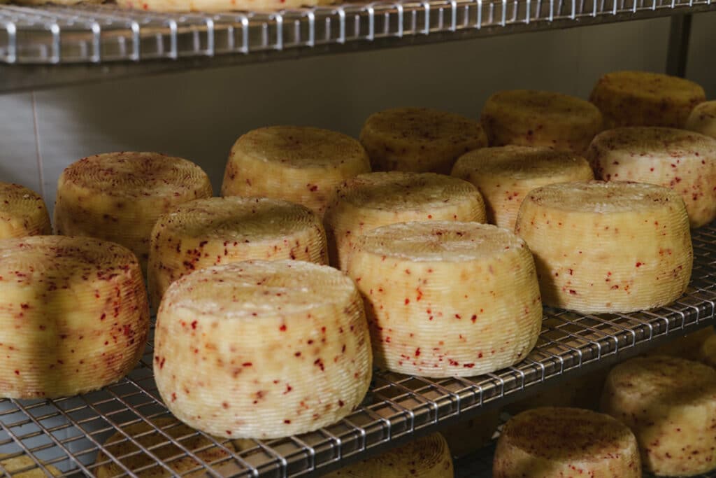 That’s Amore Cheese Wins Leader of Food & Beverage Award at 2023 ...