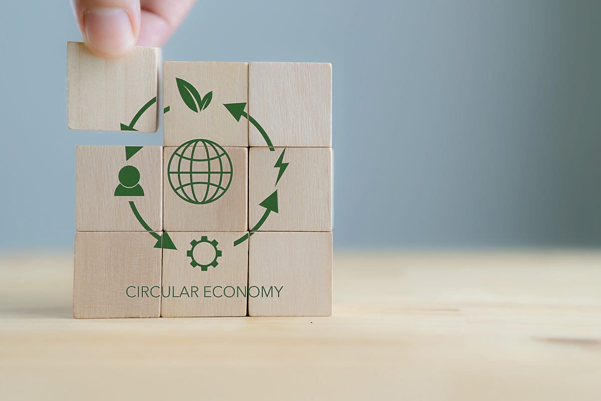 Landfill-biodegradable plastics complement the circular economy ...
