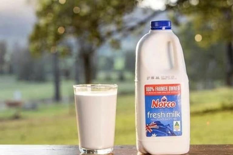 Norco announces $2million boost for dairy farmers - Food & Beverage ...