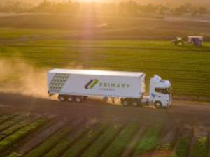 Woolworths to use Primary Connect platform - Food & Beverage Industry News