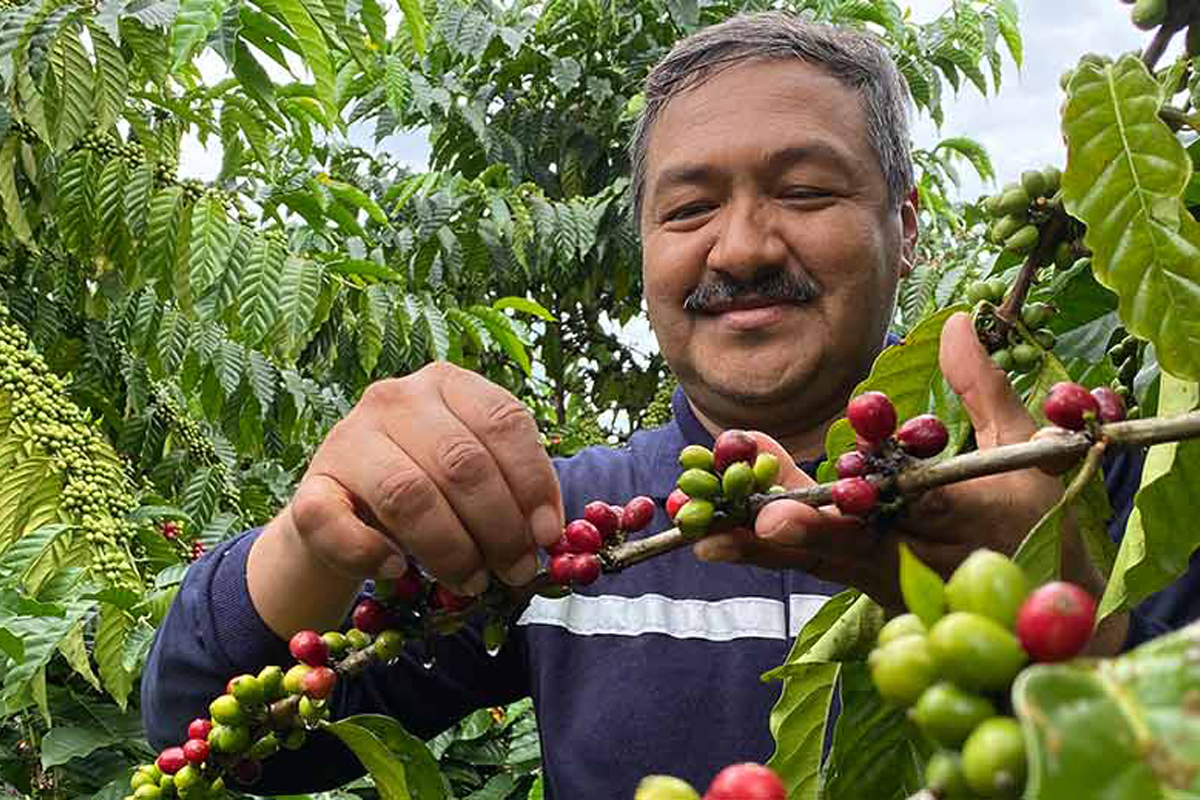 Nestlé discovers low carbon and drought resistant coffee varieties ...