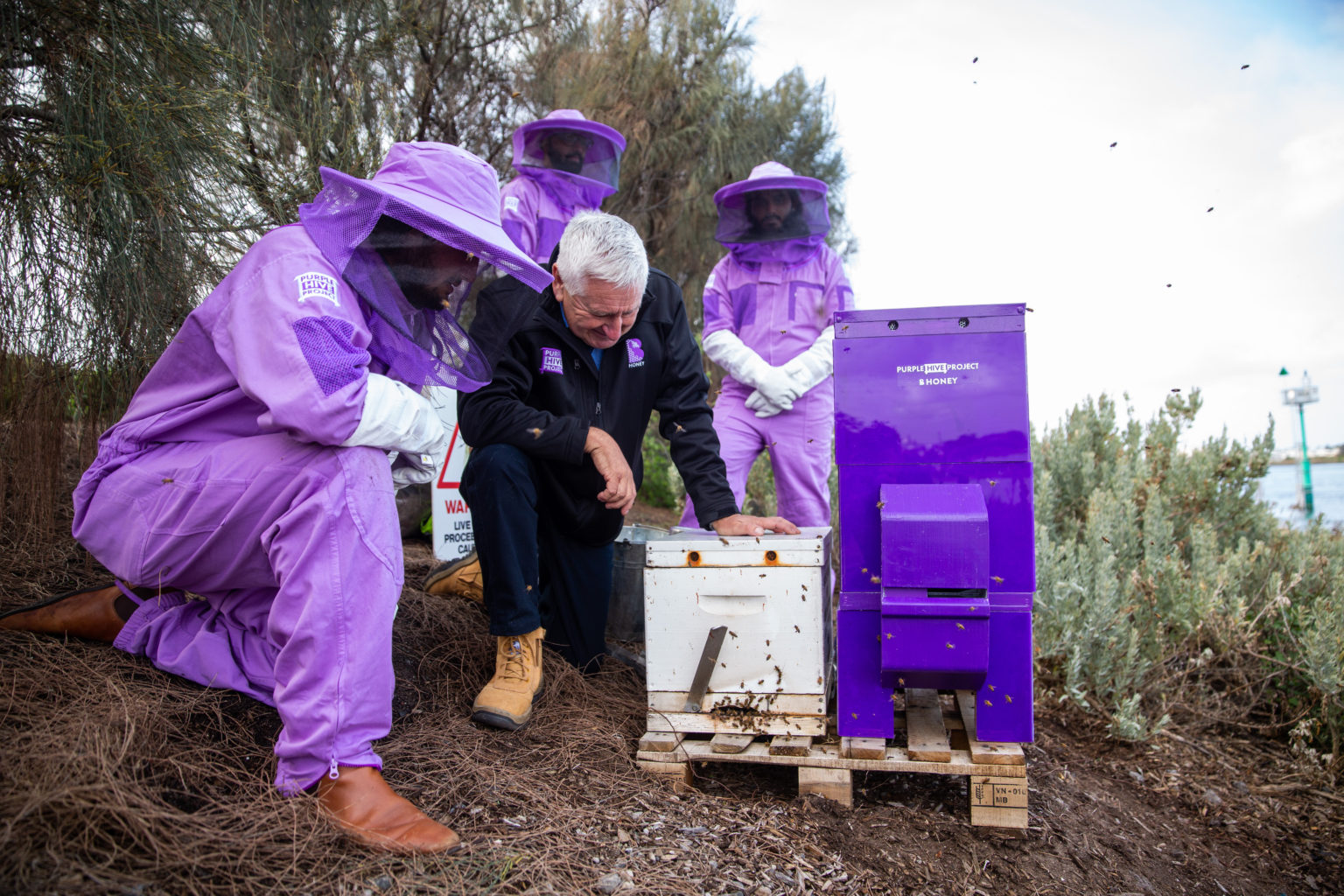 The Port of Melbourne to host Bega’s Purple Hive Project - Food ...