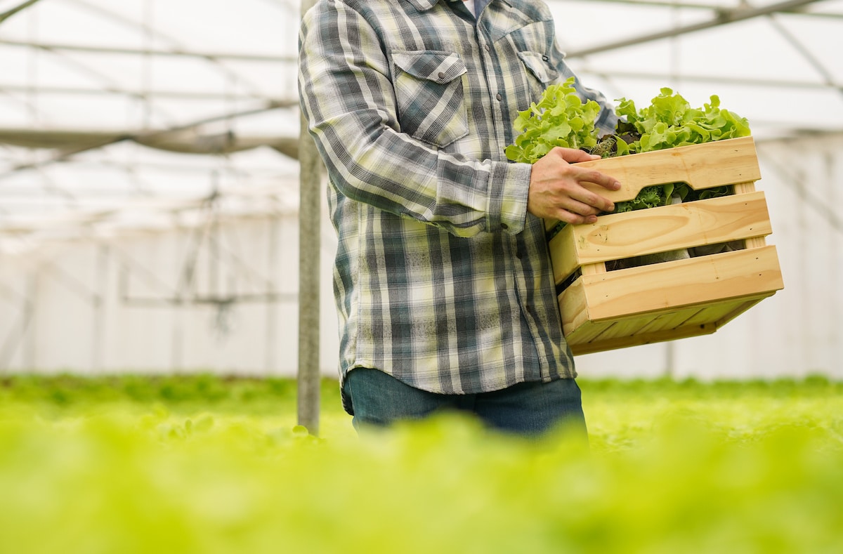 Parliament releases inquiry into food security - Food & Beverage ...