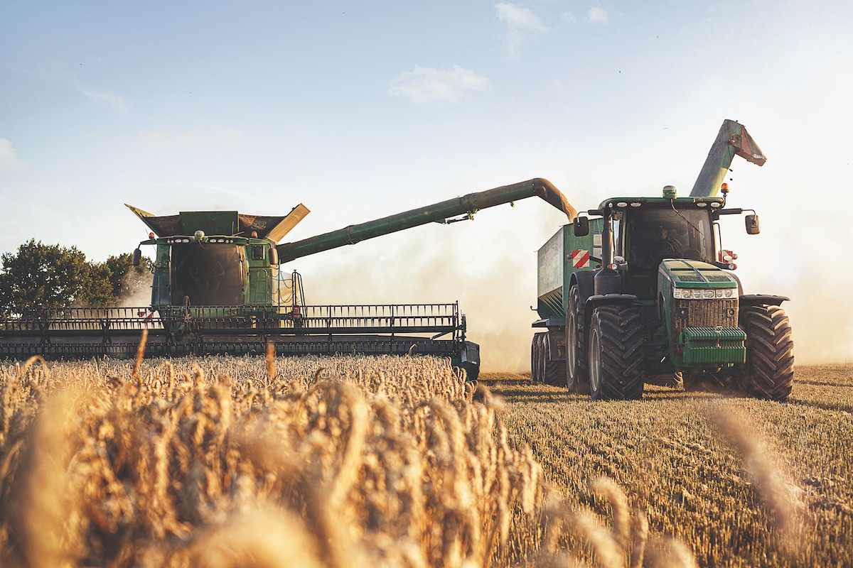 Australian agriculture “moving confidently into 2024” - Food & Beverage ...