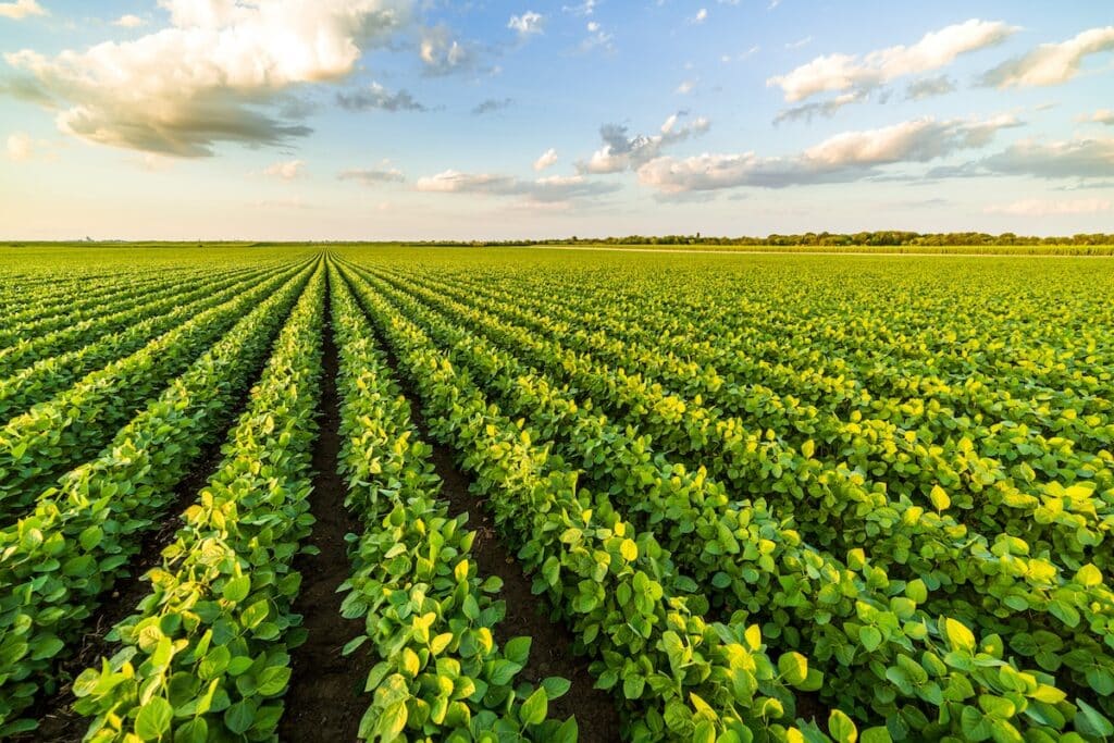 NSW Gov't appoint Independent Biosecurity Commissioner - Food ...