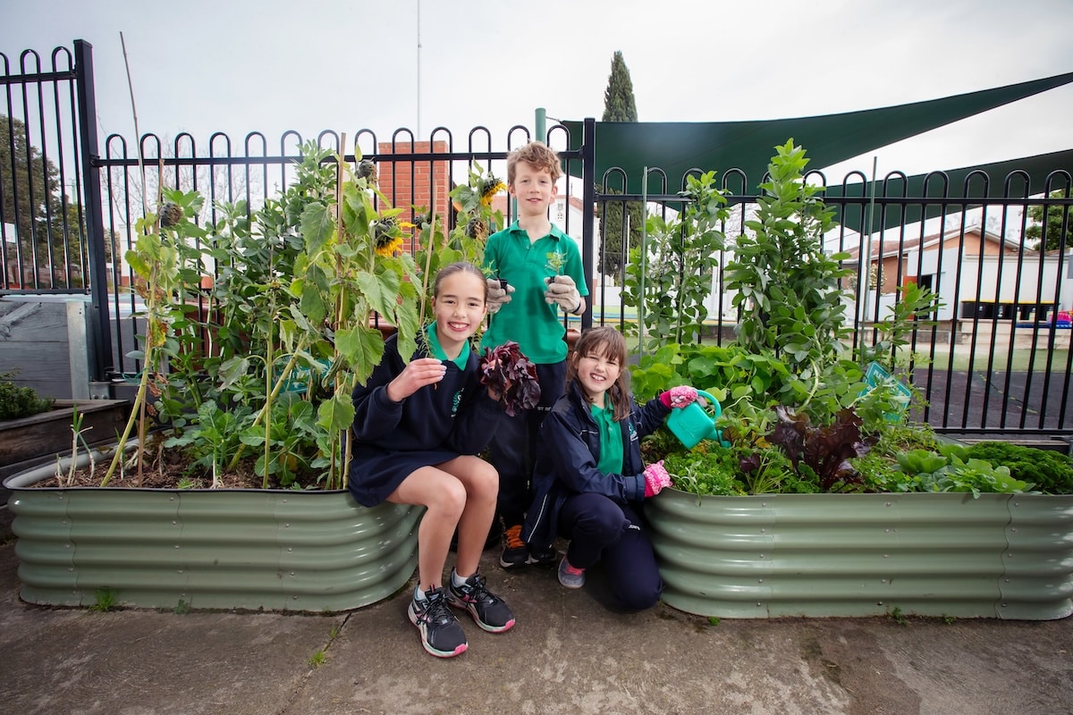 Coles donates $100,000 to sustainability initiative - Food & Beverage ...