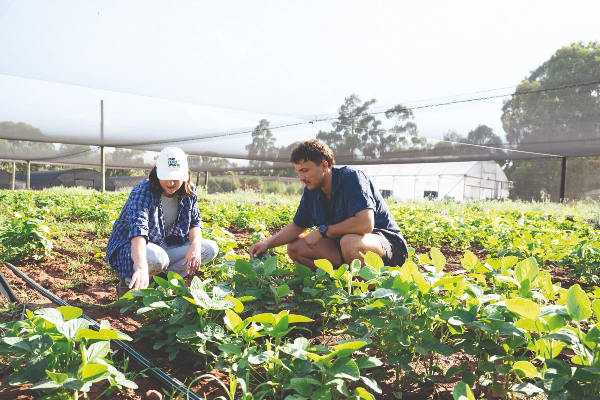 Australian Food Pact – food waste reduction working - Food & Beverage ...