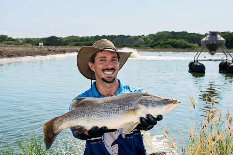 Meet the Manufacturer: Humpty Doo Barramundi - Food & Beverage Industry ...