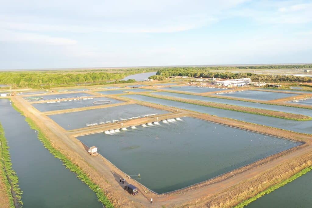 Meet the Manufacturer: Humpty Doo Barramundi - Food & Beverage Industry ...