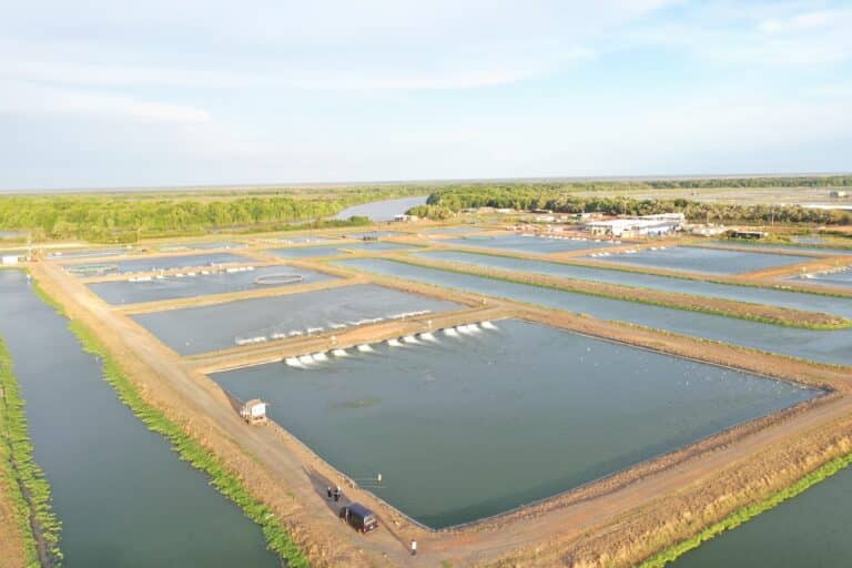 Meet the Manufacturer: Humpty Doo Barramundi - Food & Beverage Industry ...