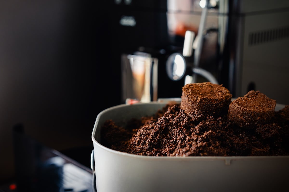 Extending blueberry shelf life with edible films from coffee waste ...