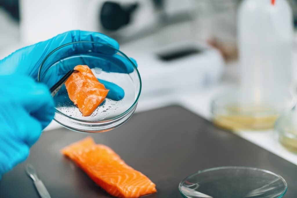 Biosensor to check fish freshness in real time - Food & Beverage ...