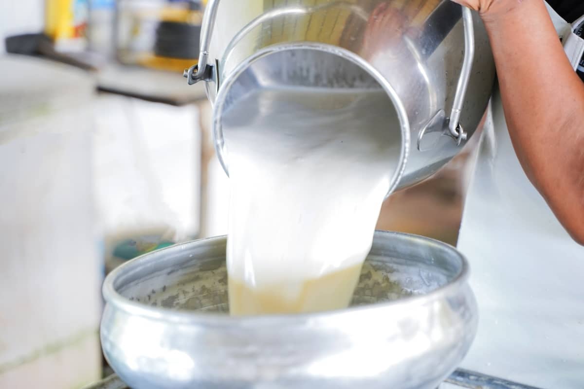 CEO of Norco focused on bringing confidence to dairy industry - Food ...