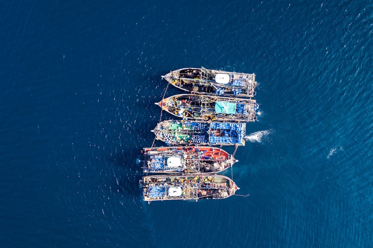 $55.8 million investment to address illegal fishing - Food & Beverage ...