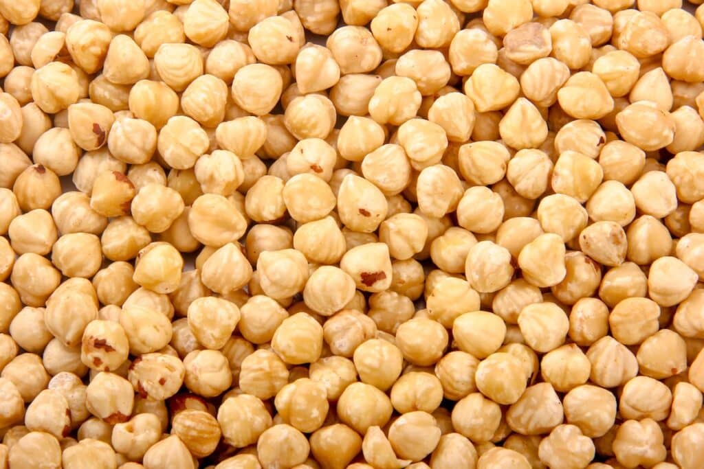 NSW scientists target improved chickpea production - Food & Beverage ...